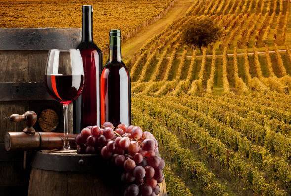 Marche, le strade del vino - Federvini